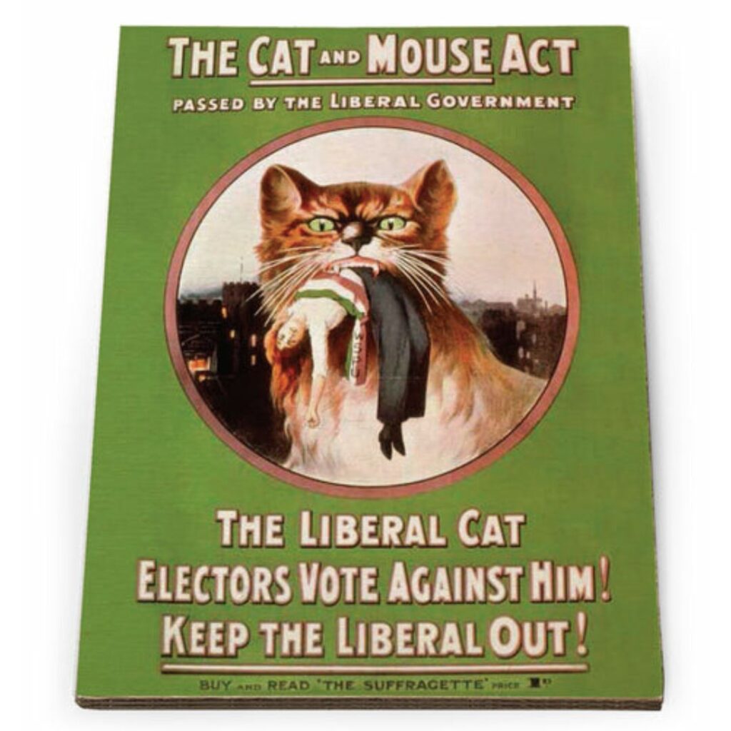The Cat and Mouse Act Wooden Fridge Magnet – Florence Nightingale ...