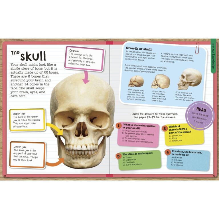 Fact Packed Activity Book: Human Body – Florence Nightingale Museum London