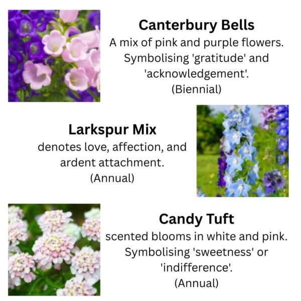 Victorian Flowers Growbar – Florence Nightingale Museum London