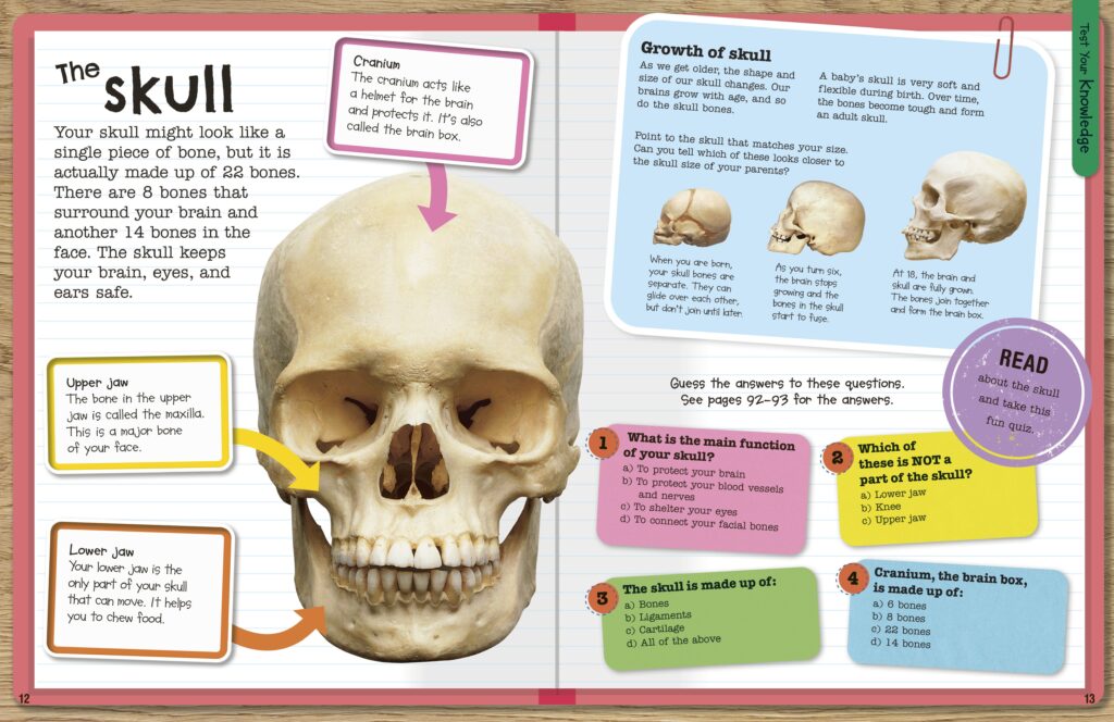 Fact Packed Activity Book: Human Body – Florence Nightingale Museum London