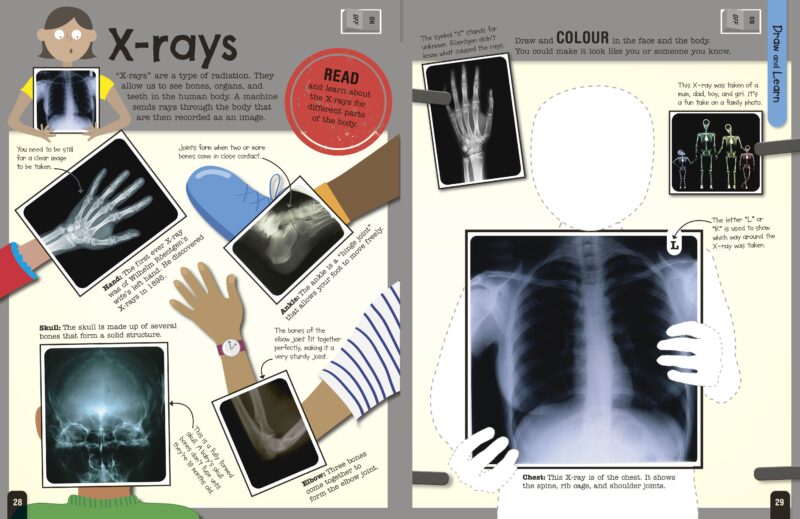 Fact Packed Activity Book: Human Body – Florence Nightingale Museum London